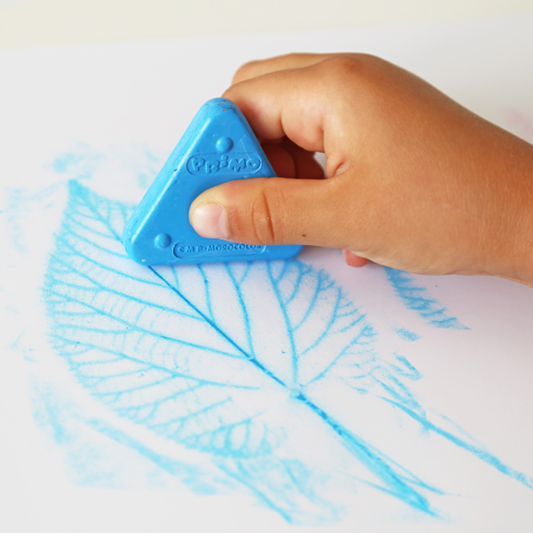 6 colours | Morocolor