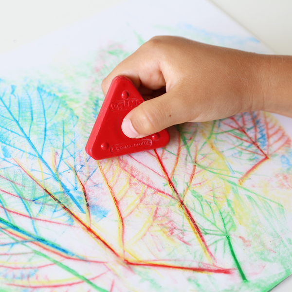 12 colours | Morocolor