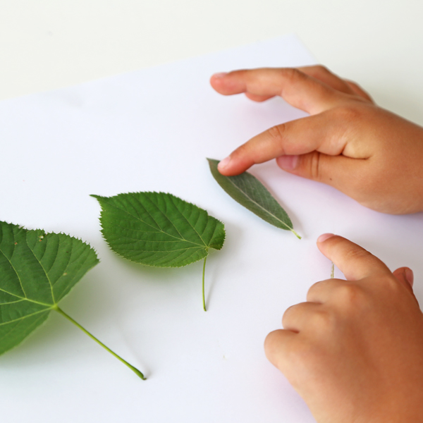 30 pieces | Morocolor