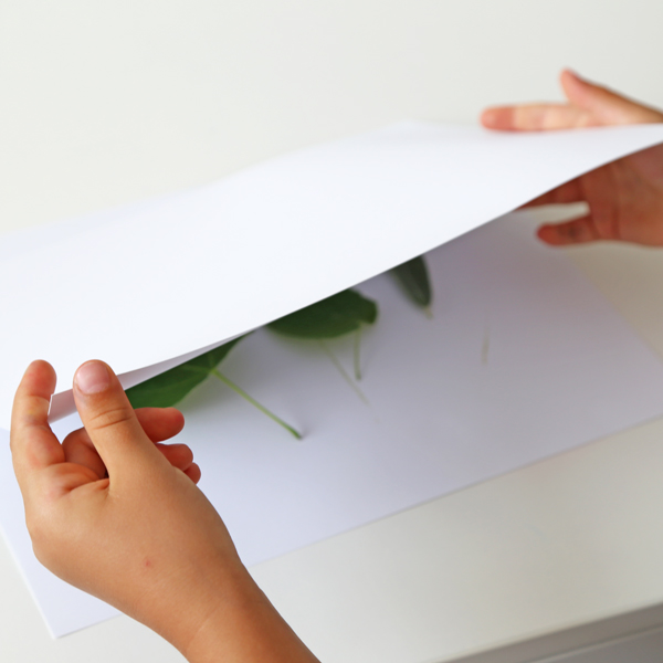 30 pieces | Morocolor